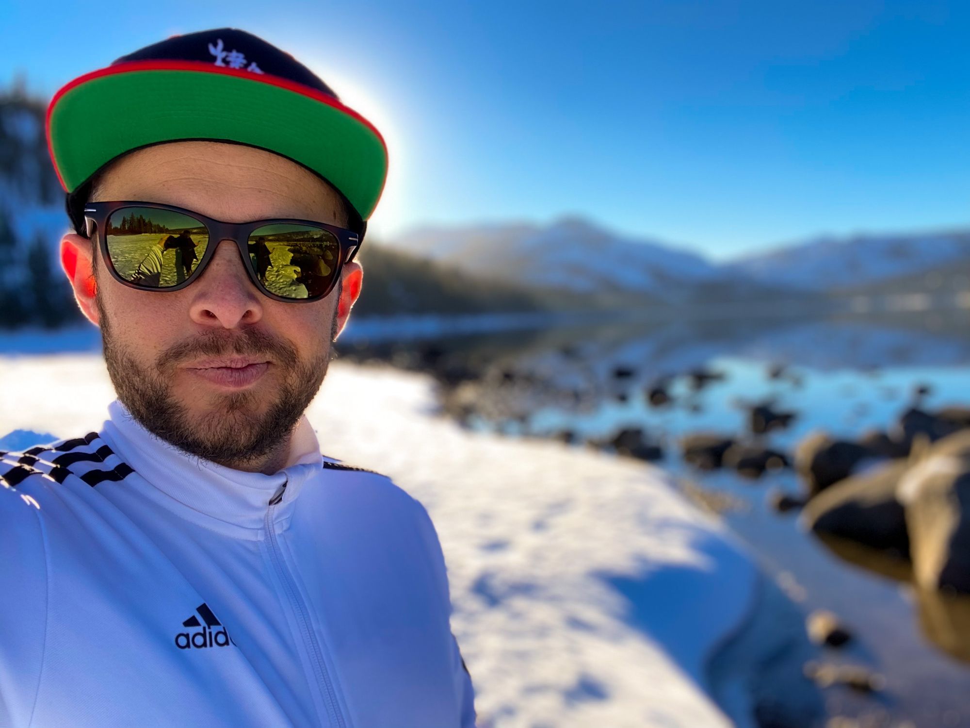 Surfboards and a curvy palm